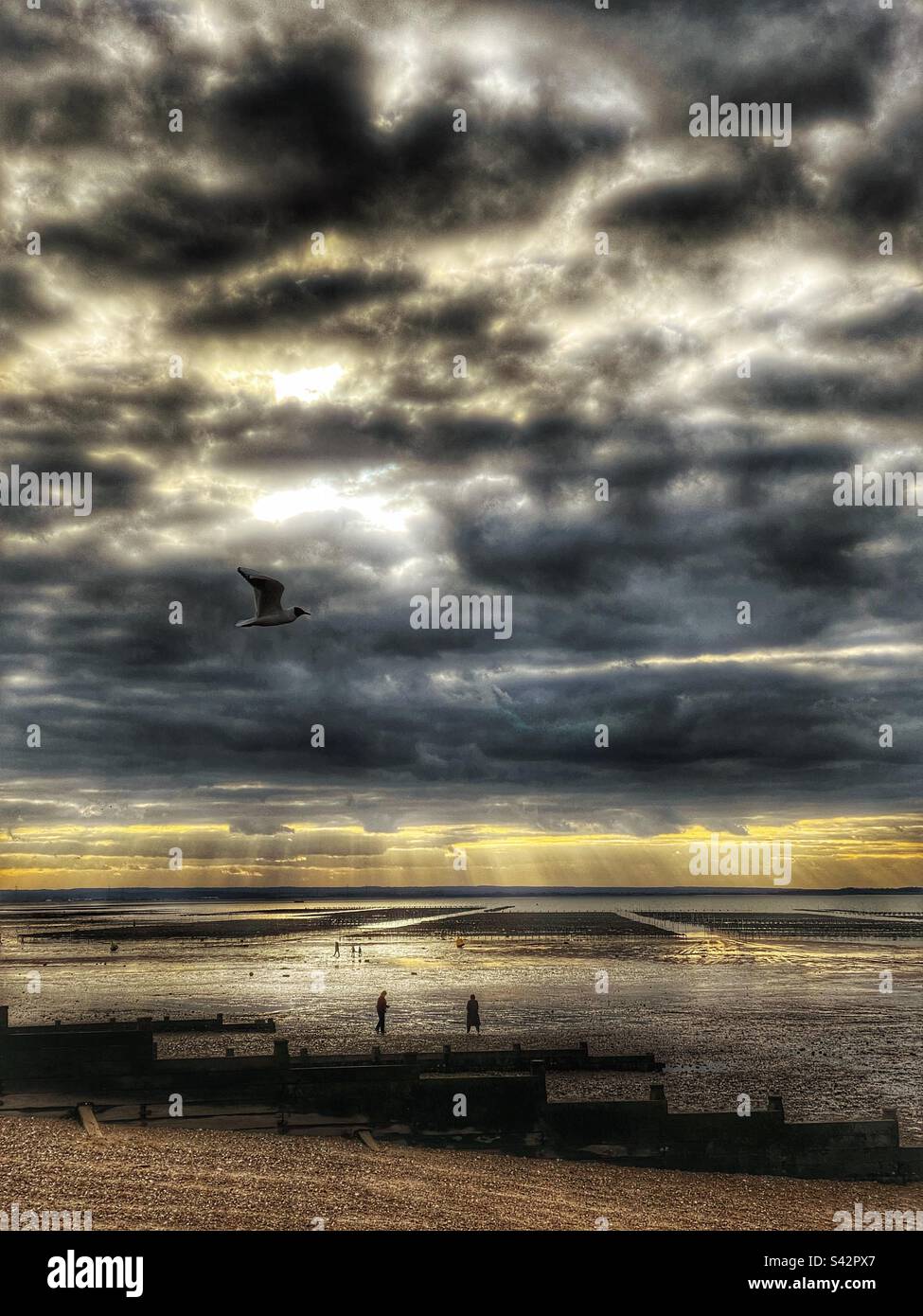 Tankerton Beach Kent Stock Photo - Alamy