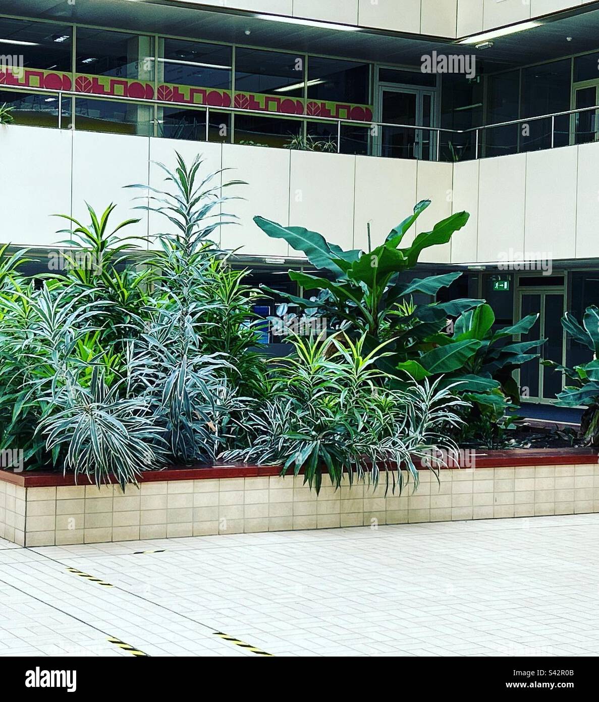 Plants in large empty office space Stock Photo - Alamy