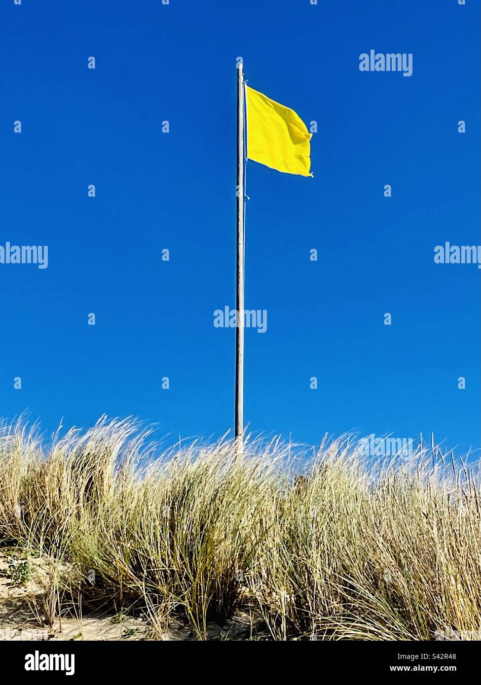 Yellow safety swimm flag on the Atlantic Ocean over blue sky, Lifeguard ...