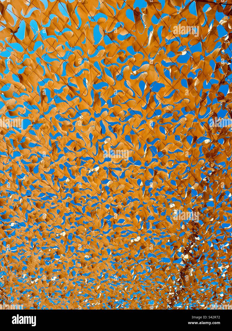 Camo patterns hi-res stock photography and images - Alamy