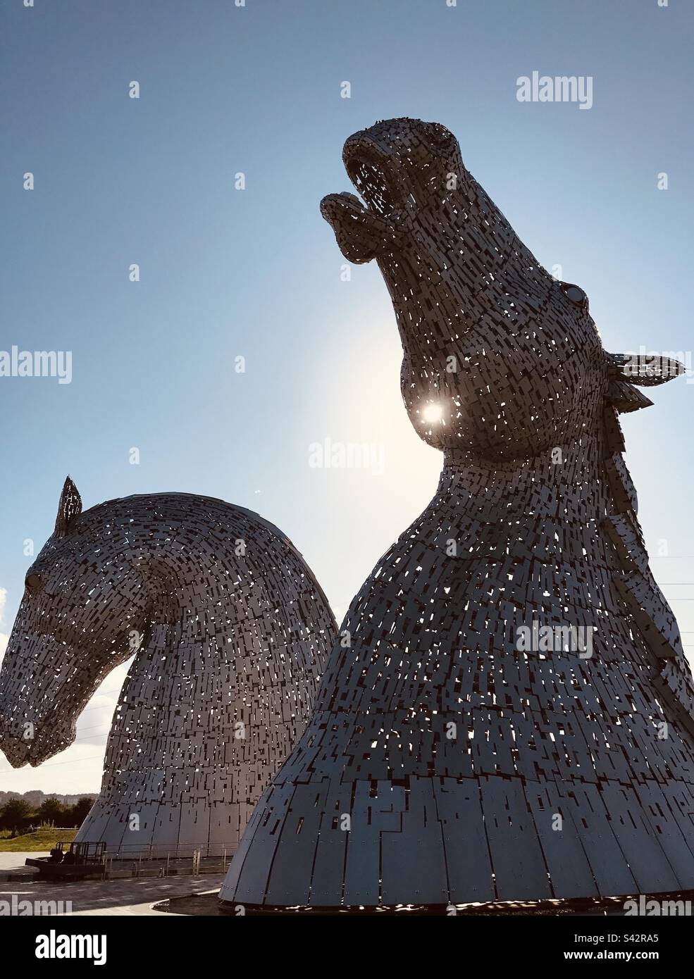 Kelpies horse hi-res stock photography and images - Alamy