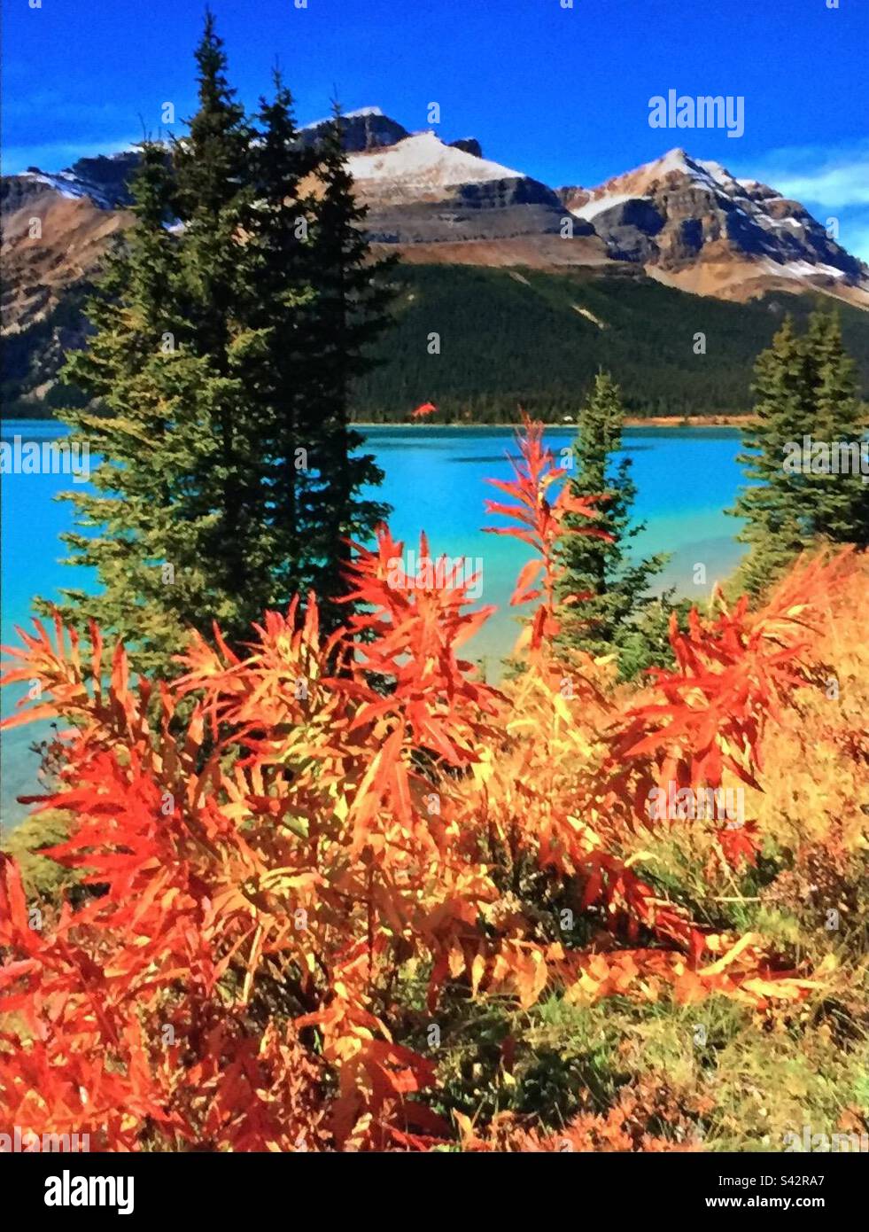 Travel Canada, Bow Lake, Banff National Park, Alberta, Canada, tourist ...