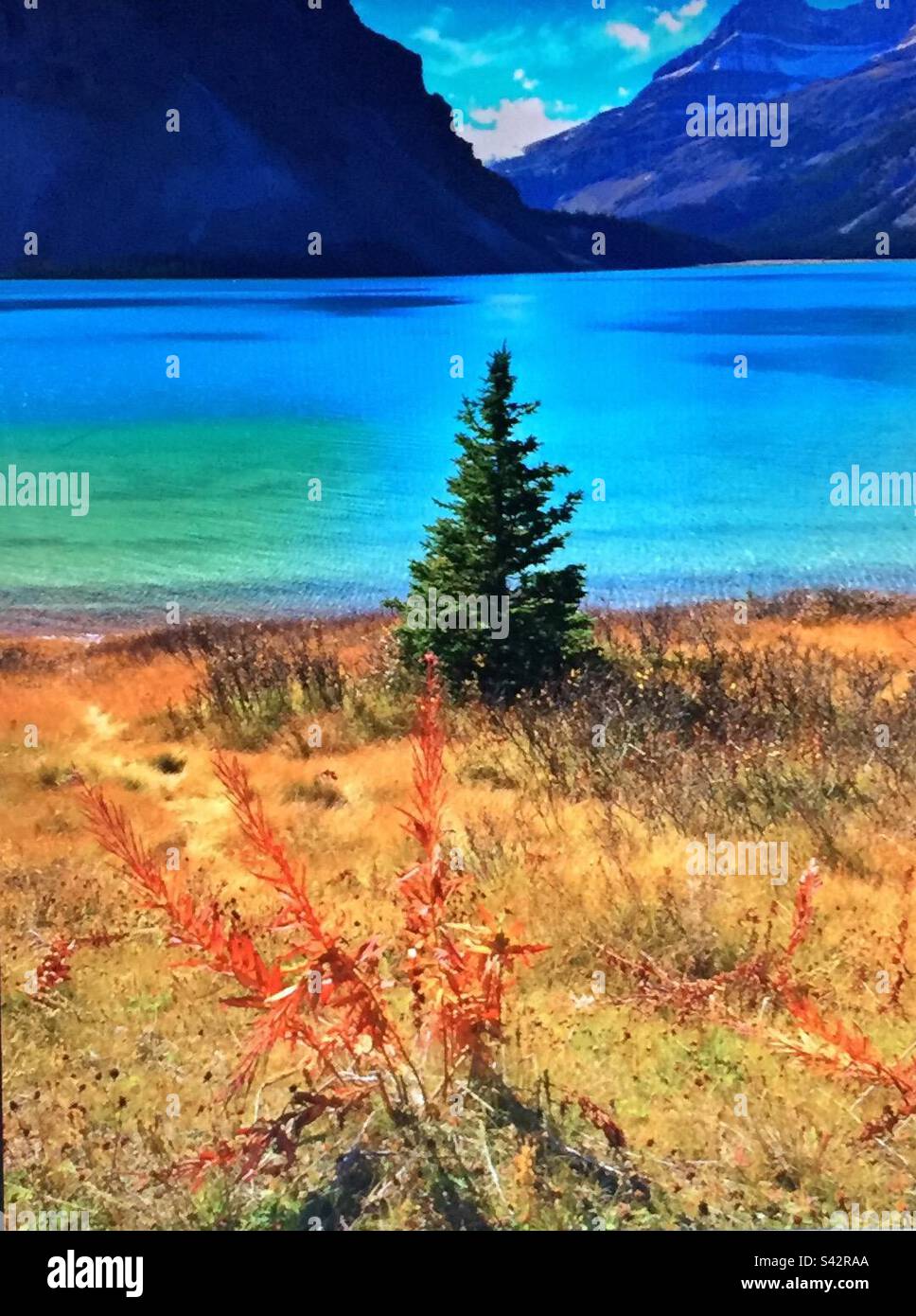 Travel Canada, Bow Lake, Banff National Park, Alberta, Canada, tourist ...