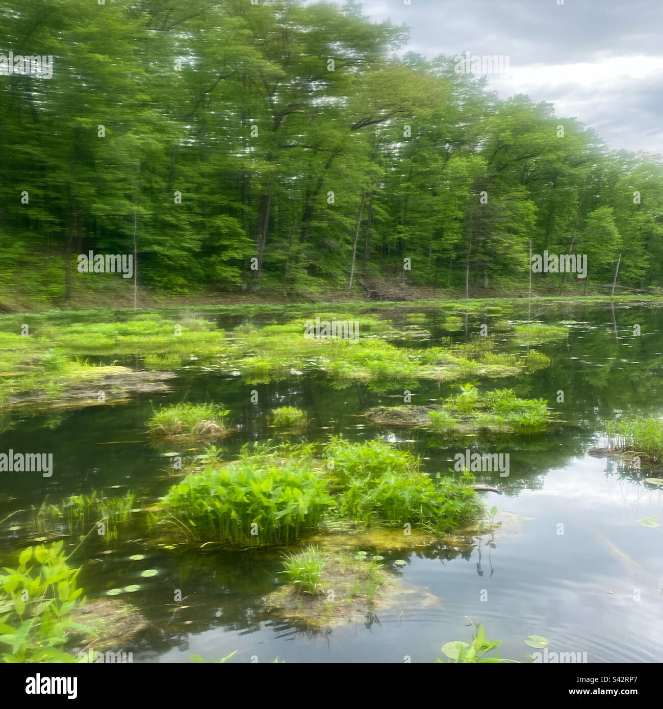 Chain lakes state park indiana hi-res stock photography and images - Alamy