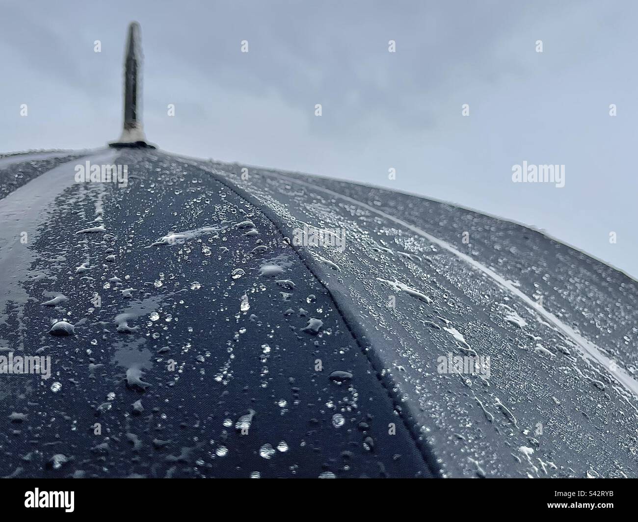 Rain on umbrella hi-res stock photography and images - Alamy