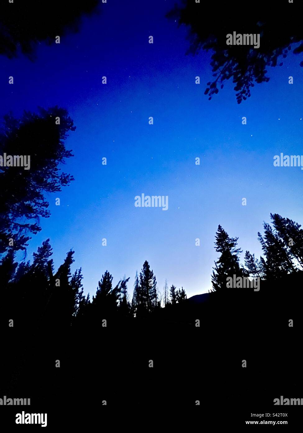 Starry mountain sky hi-res stock photography and images - Alamy