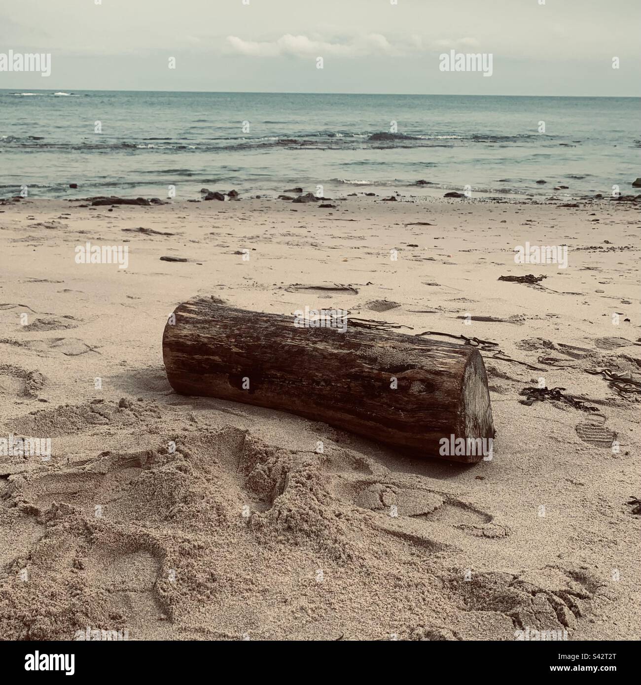 Sand log hi-res stock photography and images - Alamy