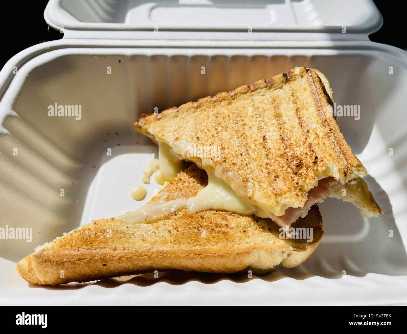 Take away toasted cheese sandwich Stock Photo - Alamy