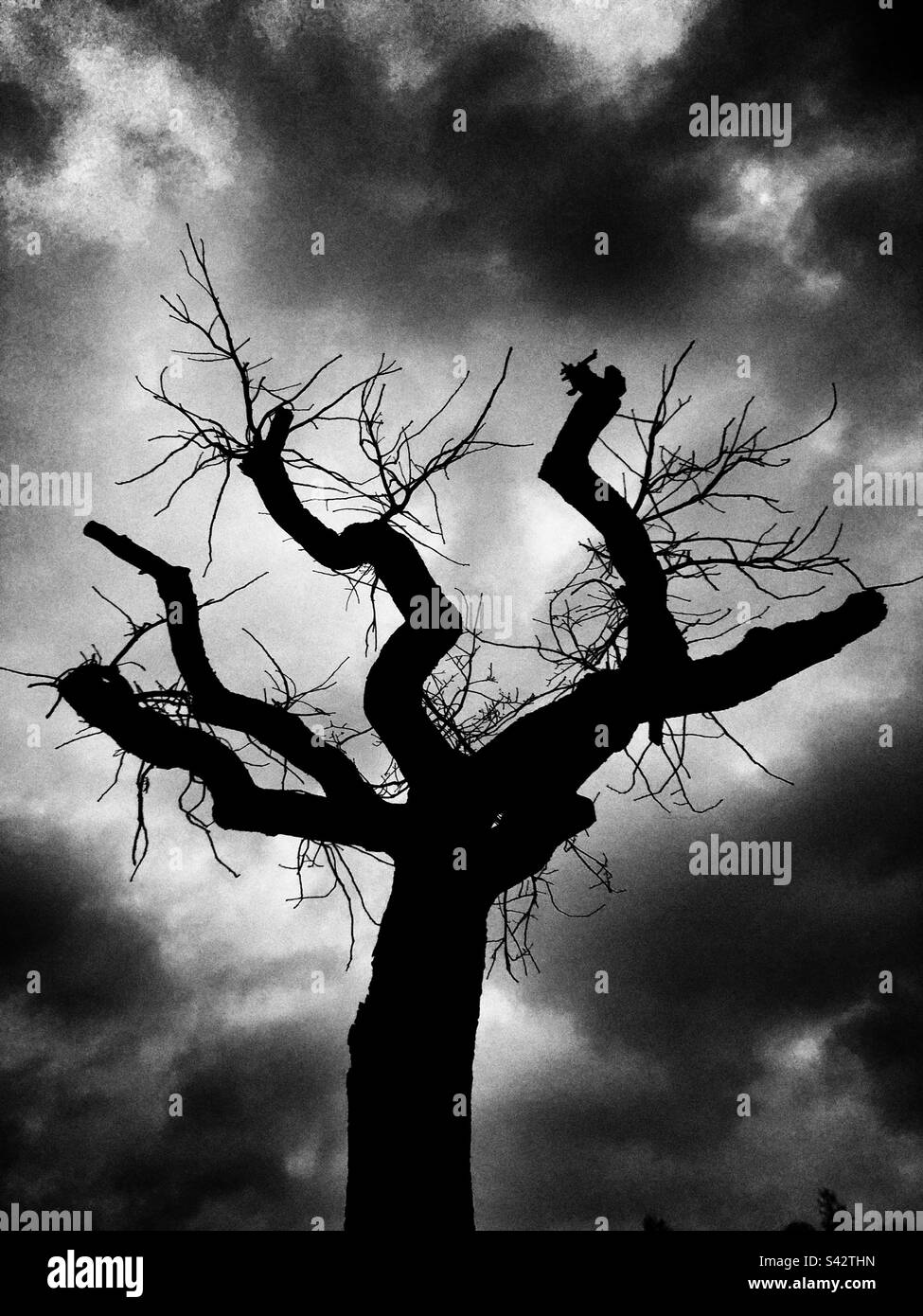 Dramatic backlit image Black and White Stock Photos & Images - Alamy