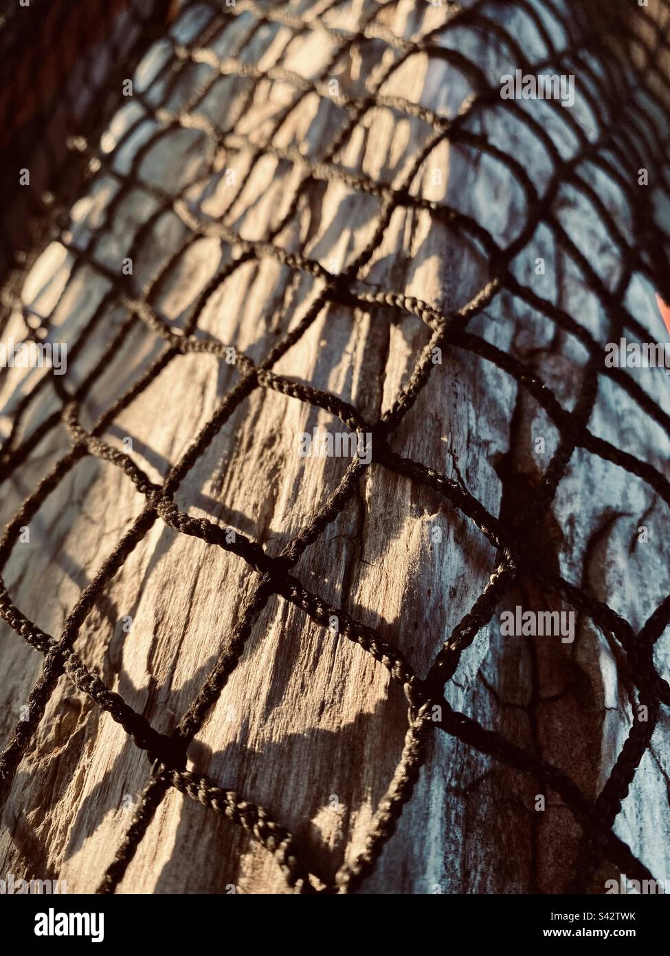 Harbor log hi-res stock photography and images - Alamy
