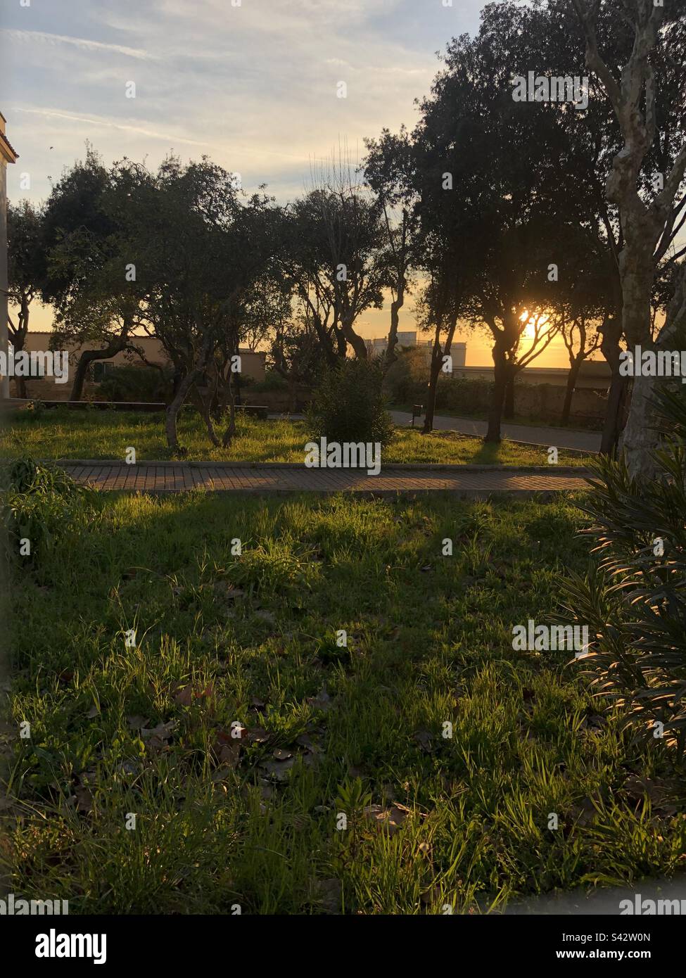 Golden hour garden hi-res stock photography and images - Alamy