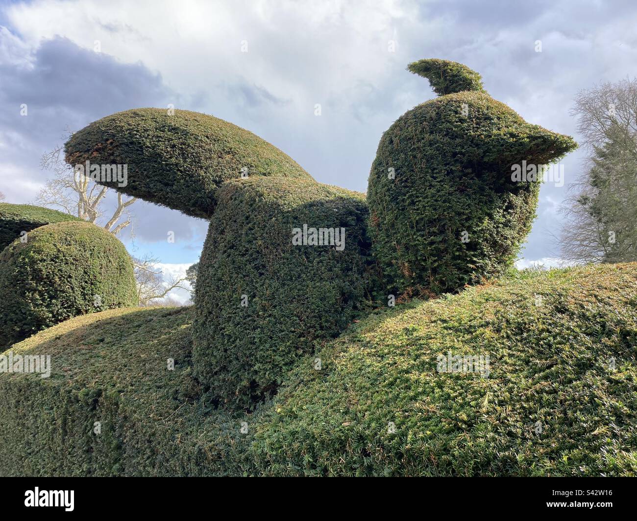 Topiary peacock hi-res stock photography and images - Alamy