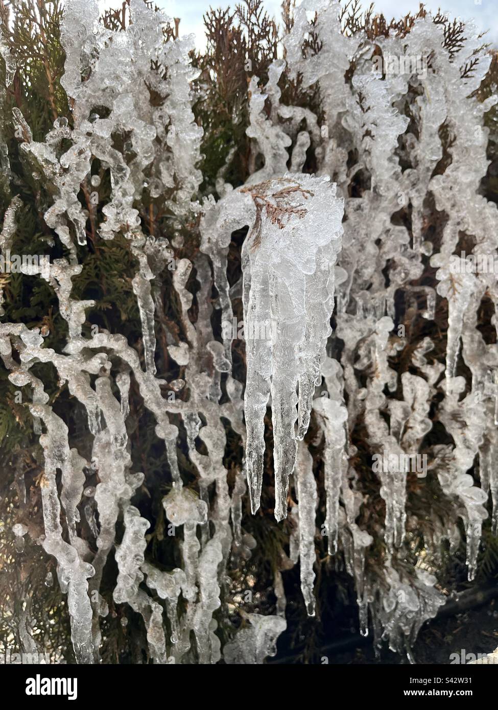 Frozen droplets of water Stock Photo - Alamy