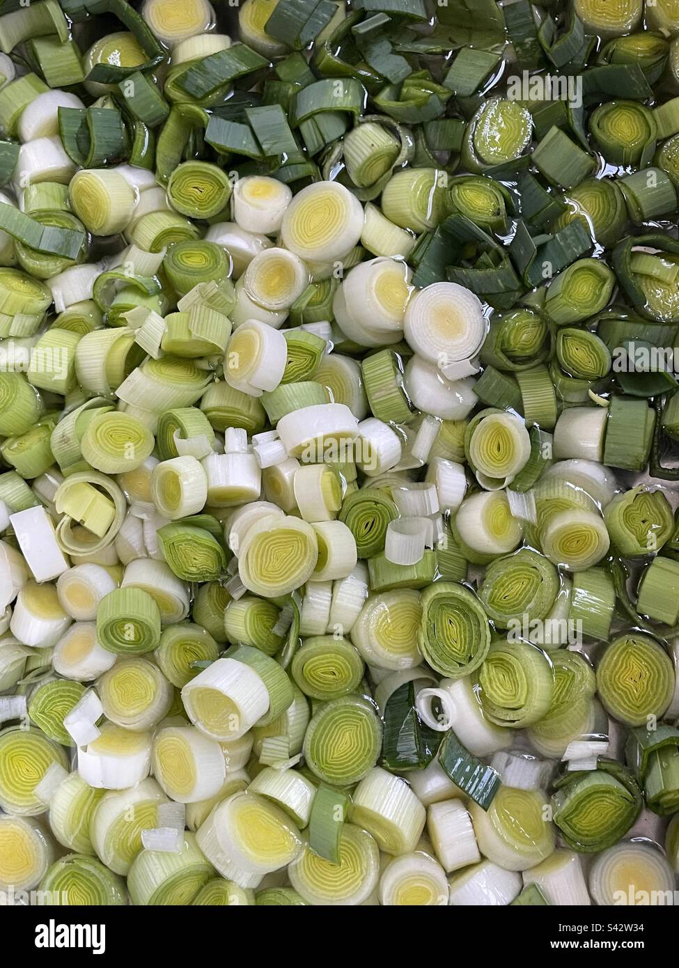 Leek water hi-res stock photography and images - Alamy