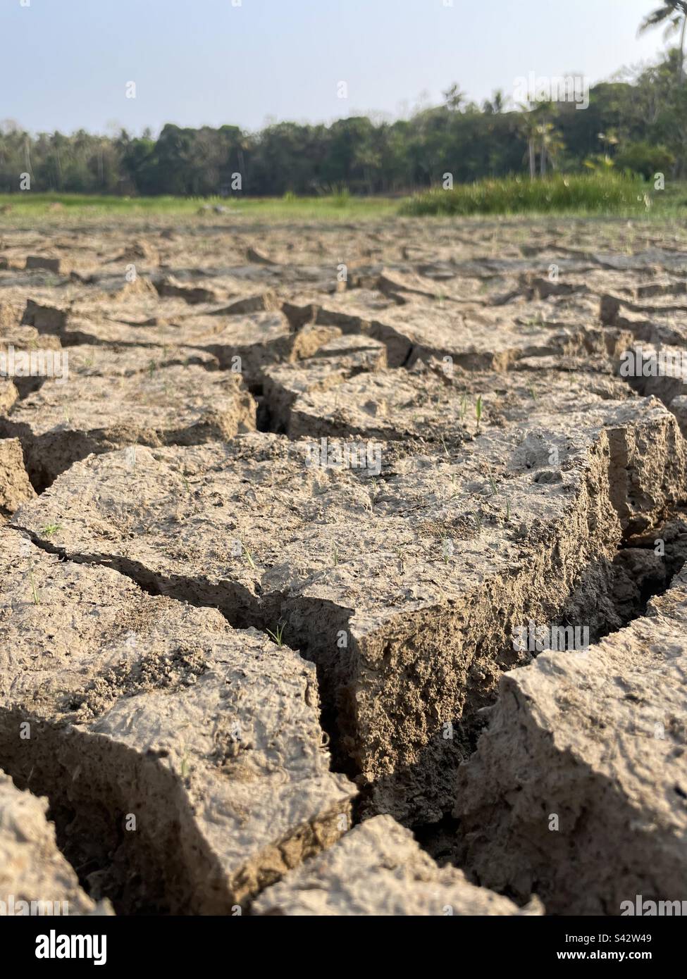 Drought photo hi-res stock photography and images - Alamy