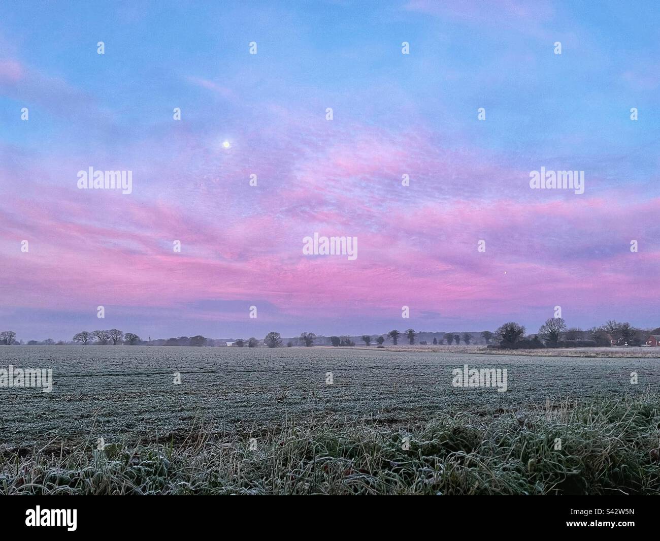 Pink sky, sunrise photographed in England Stock Photo - Alamy