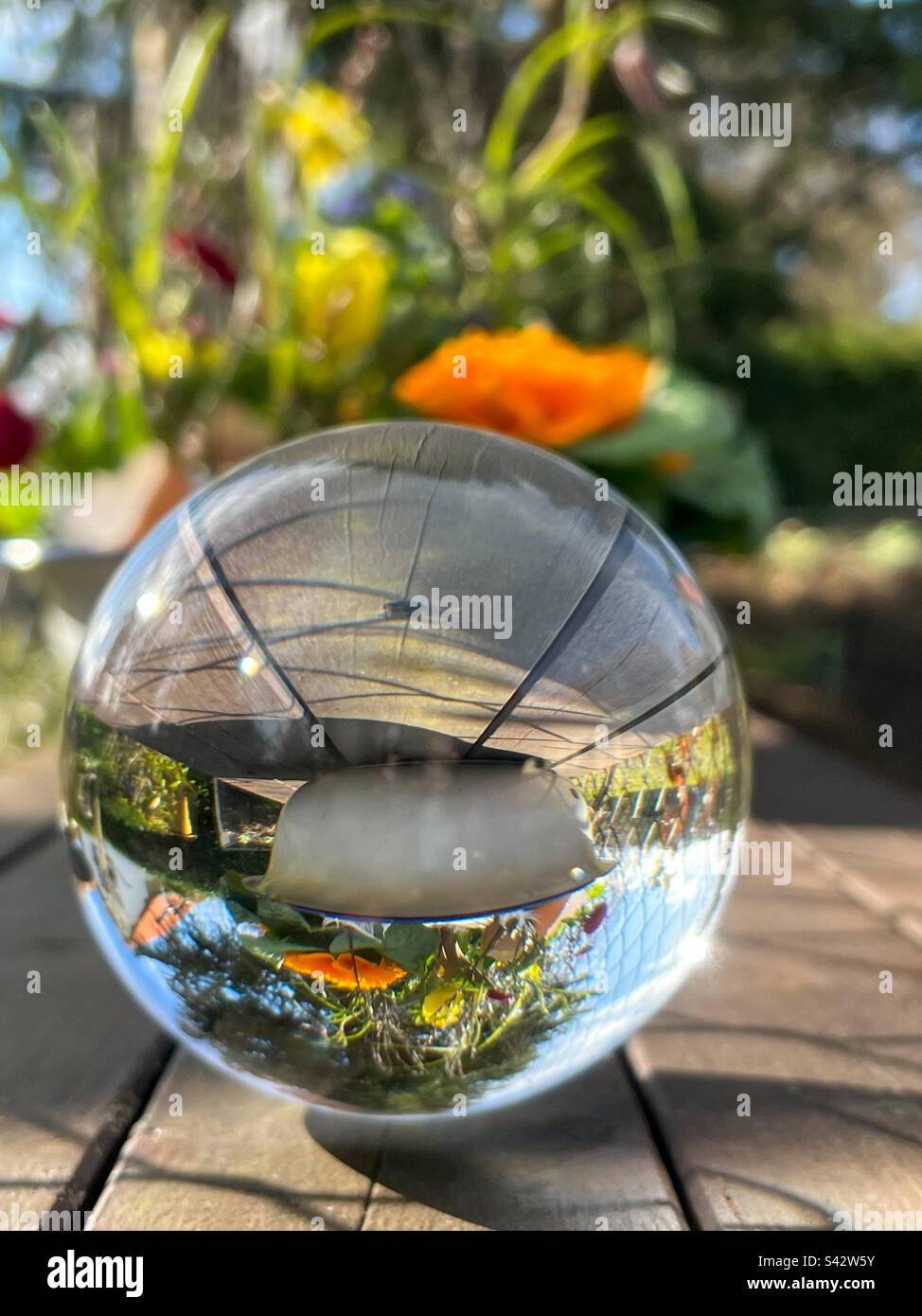 Glaskugelfotografie hi-res stock photography and images - Alamy