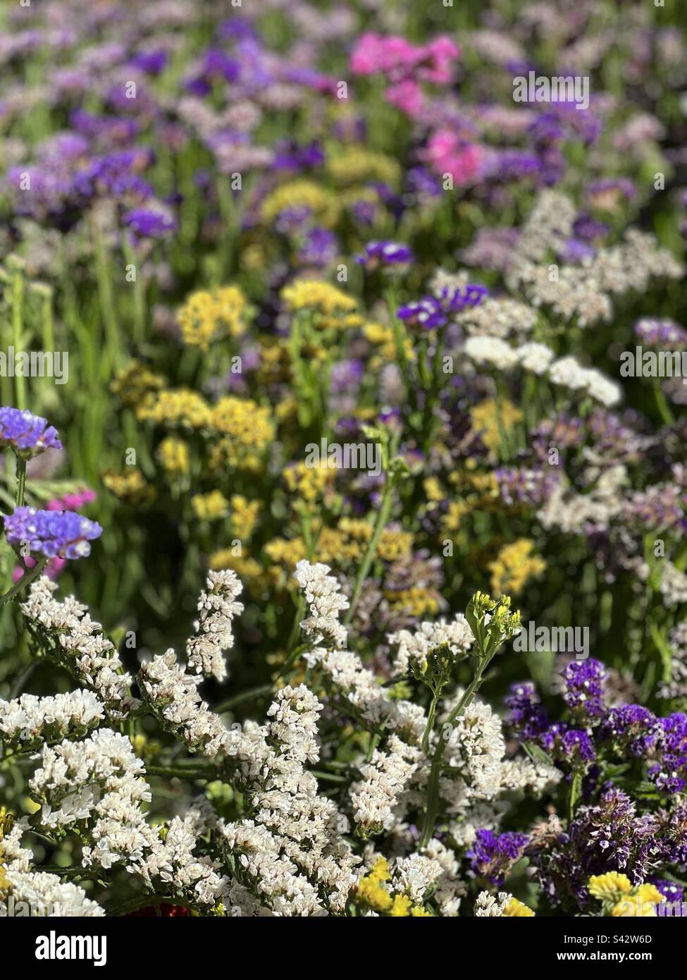 Colores de colores colores de colores colores de colores colores de ...