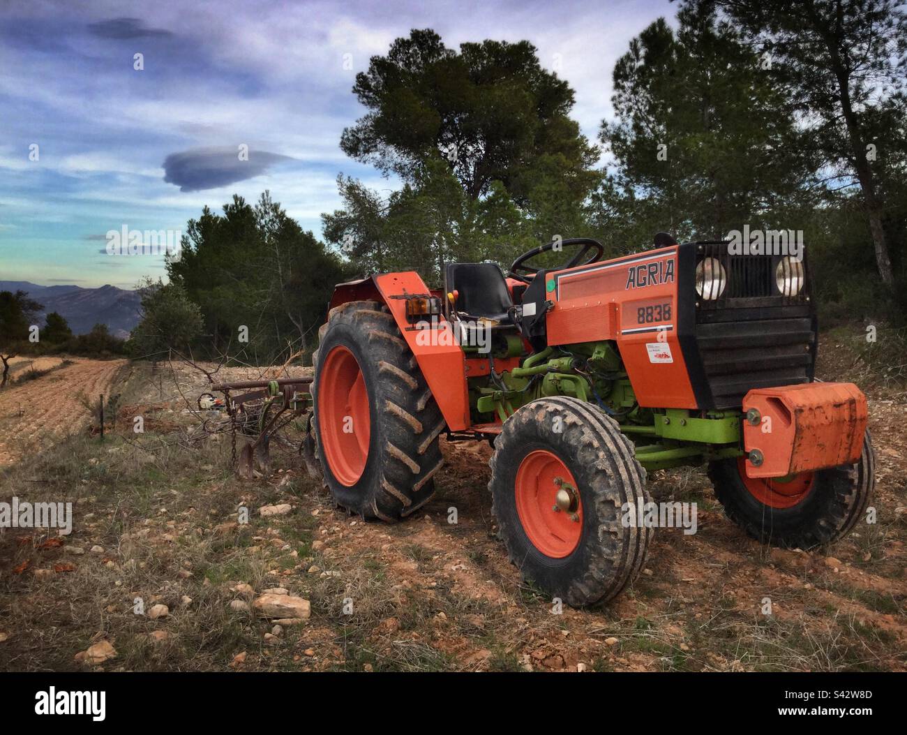 Agria 8838 hi-res stock photography and images - Alamy