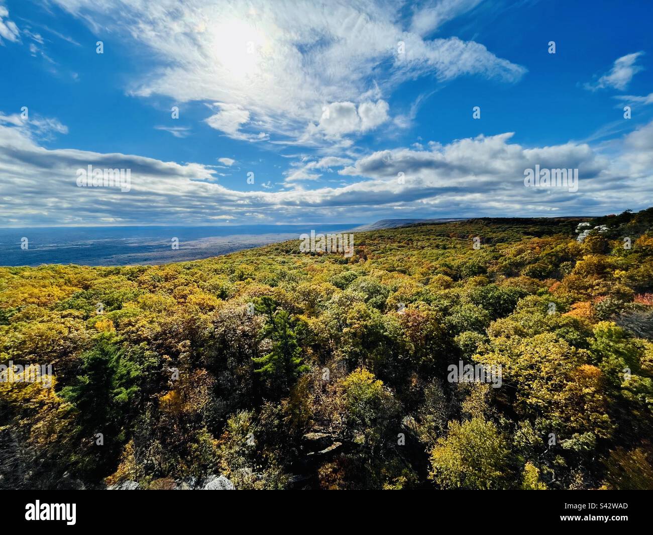 Panoramic view of Fall foliage in the Northeast . Autumn season ...