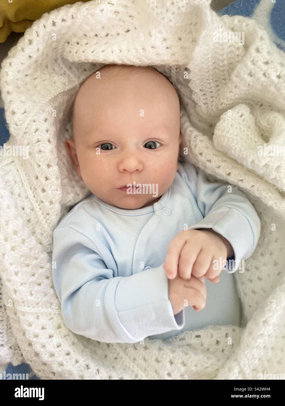 Blue cheeks hi-res stock photography and images - Alamy