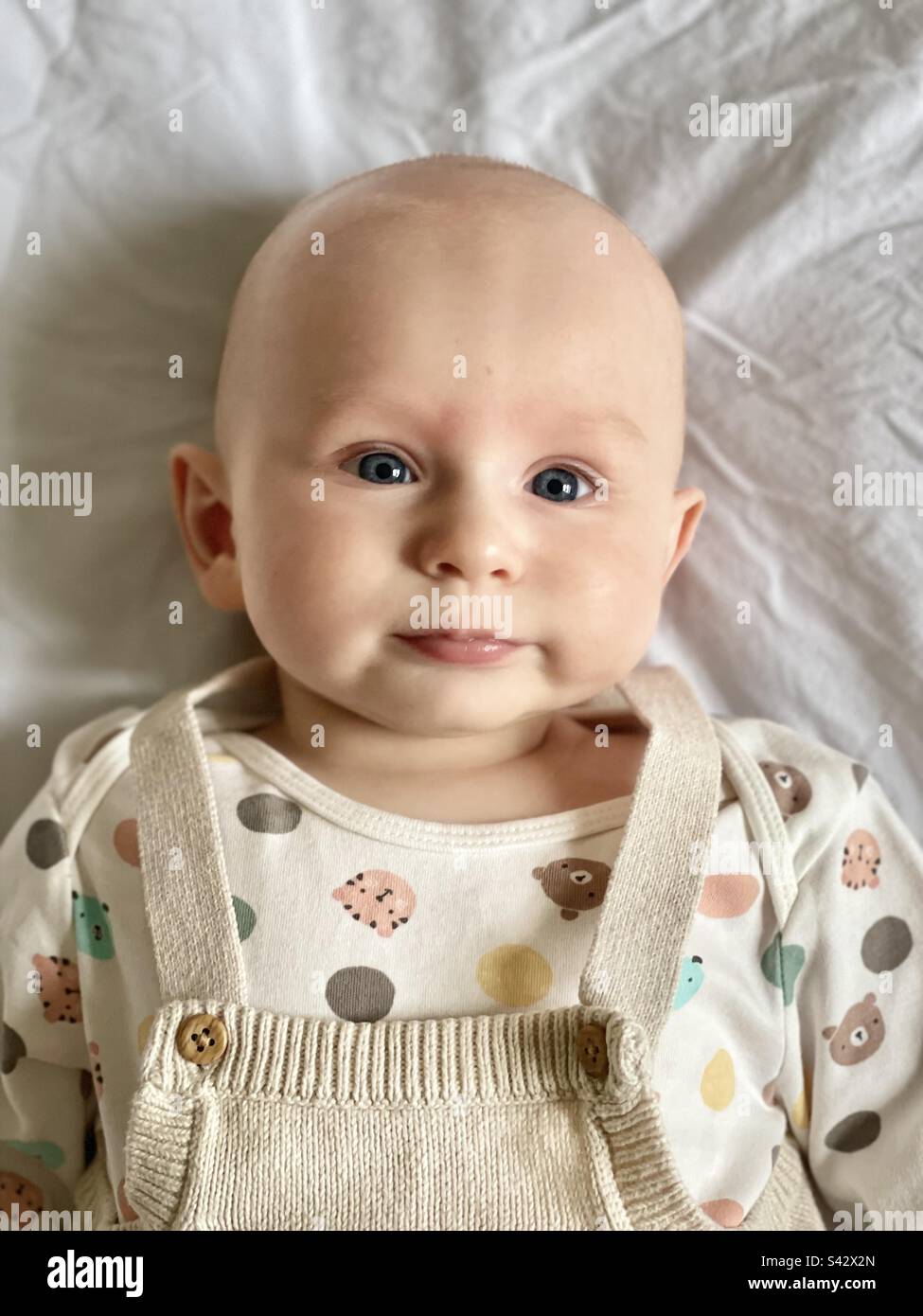 Baby face portrait eyes hi-res stock photography and images - Alamy