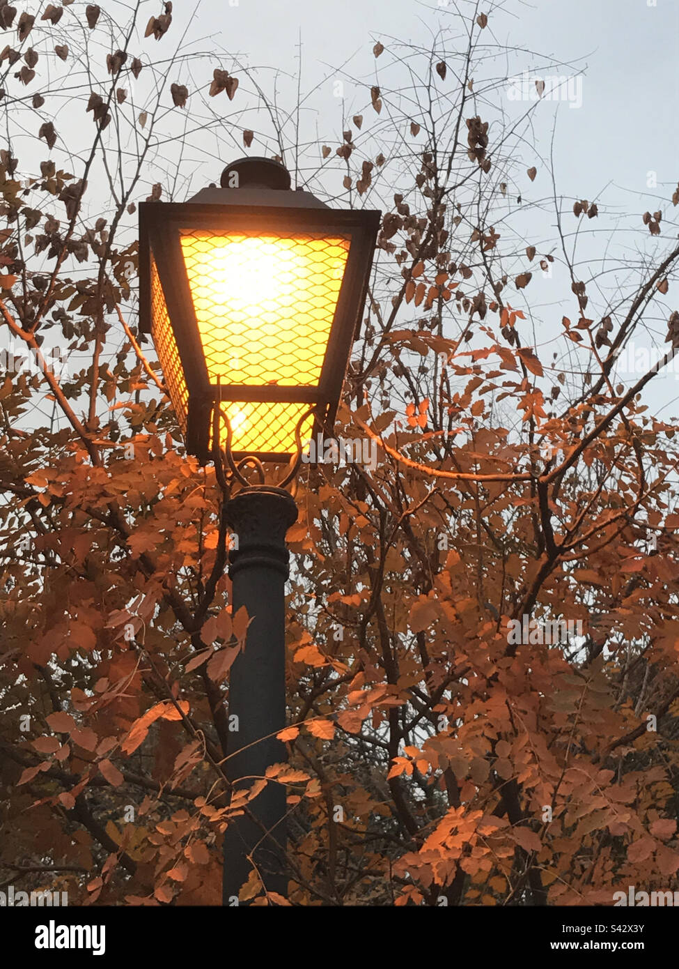 Lit up street light Stock Photo - Alamy