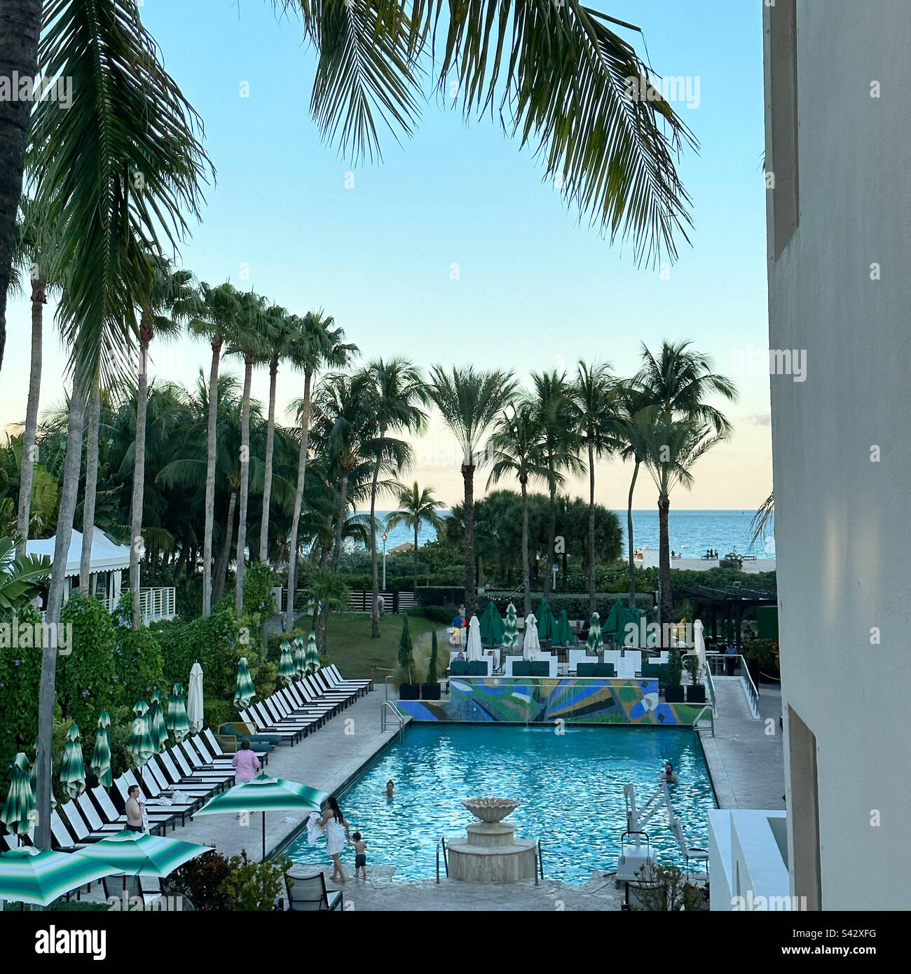 January, 2023, Swimming pool in the late afternoon, Kimpton Surfcomber ...