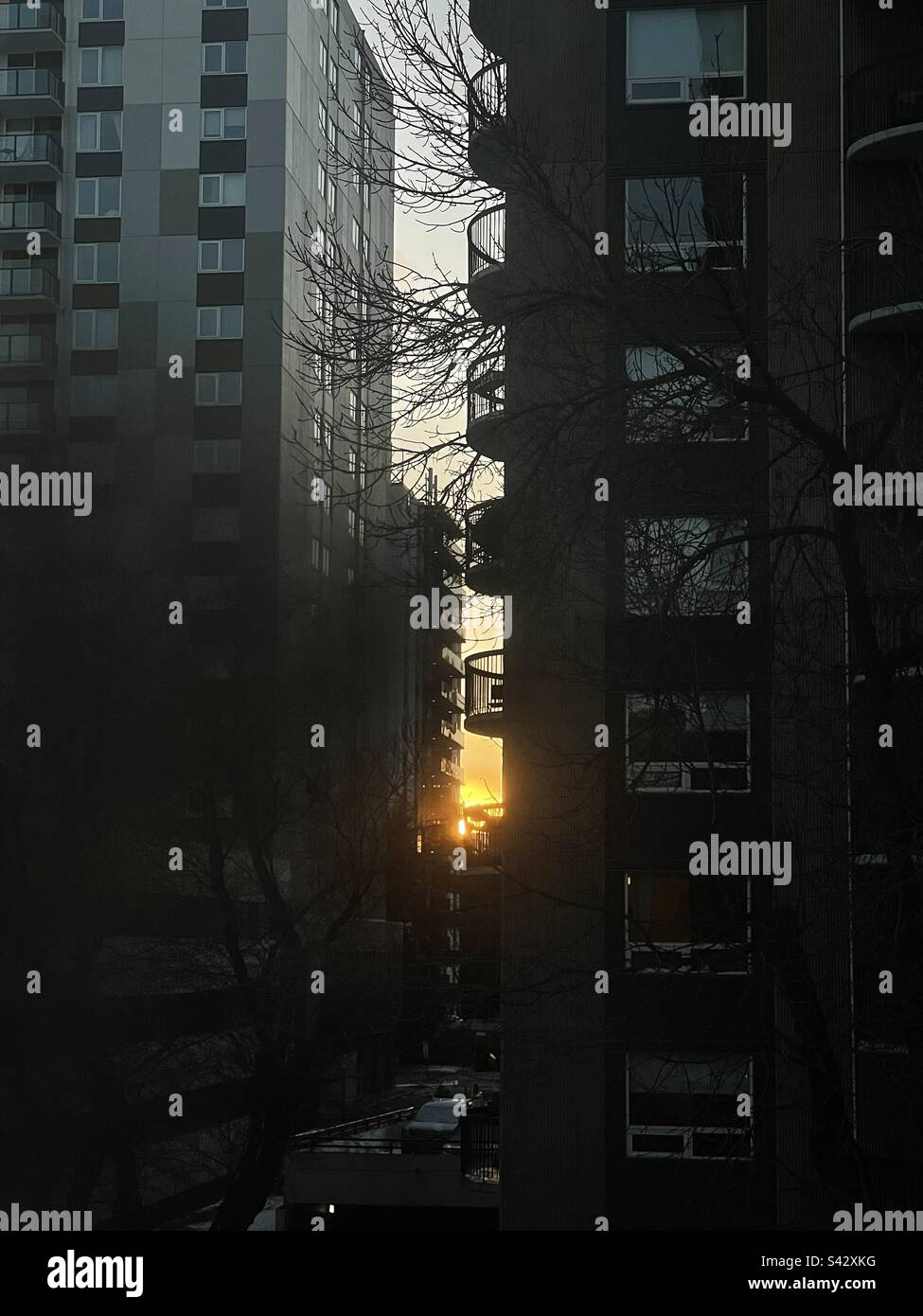 Sunset behind buildings in Edmonton Canada Stock Photo - Alamy