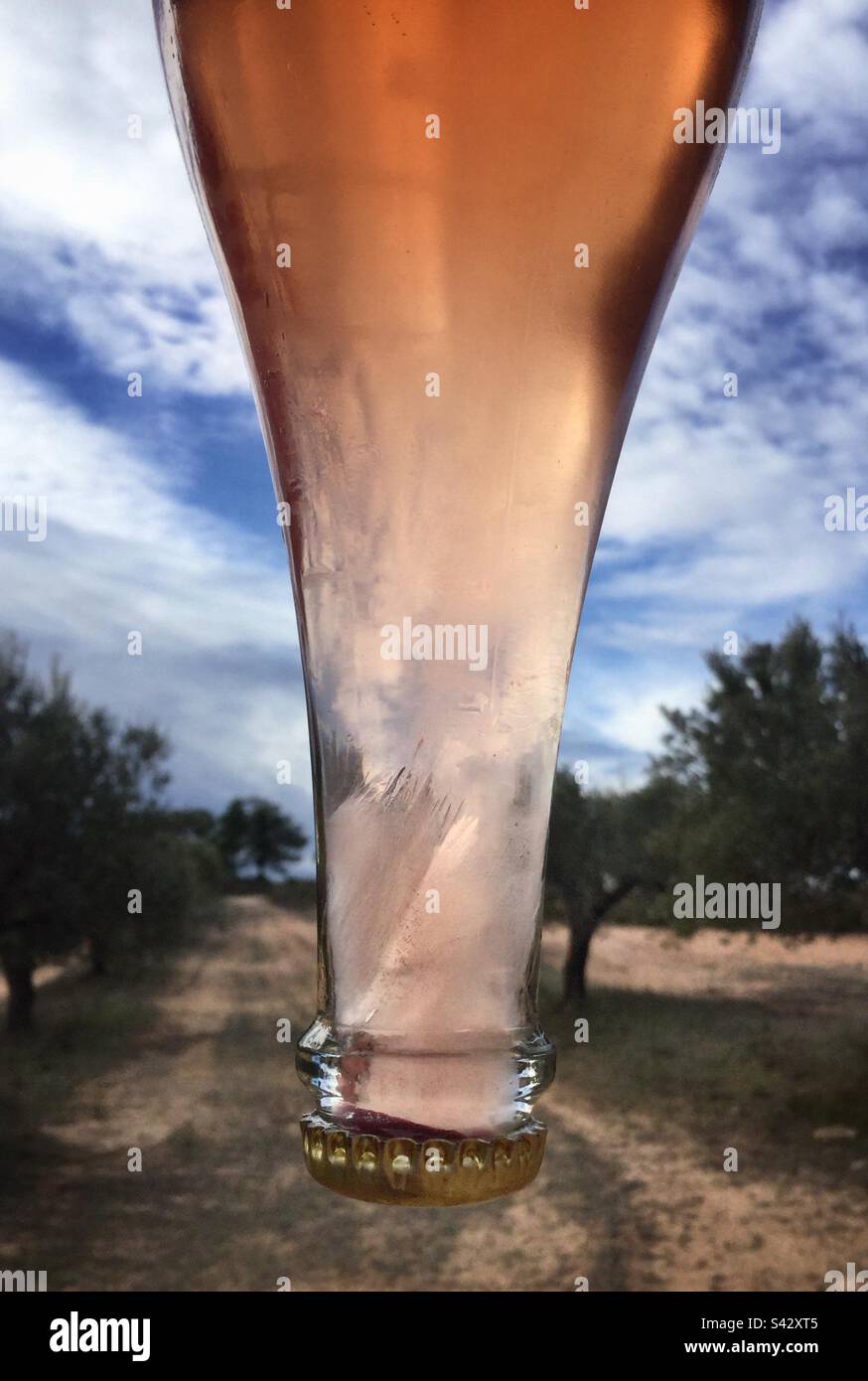 Disgorging sparkling wine with frozen bottle neck, Catalonia, Spain ...