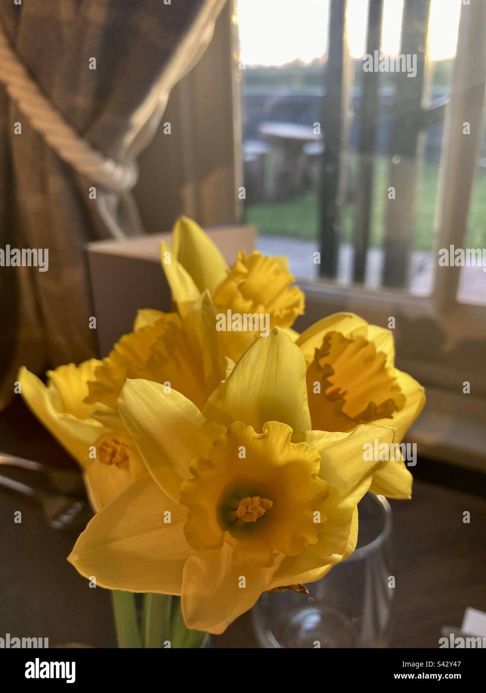 Rays of colour hi-res stock photography and images - Alamy