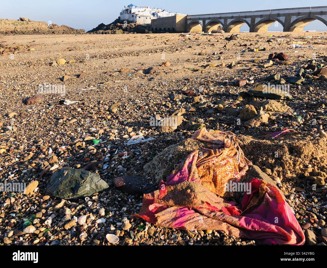 Pollution on ocean shore hi-res stock photography and images - Alamy