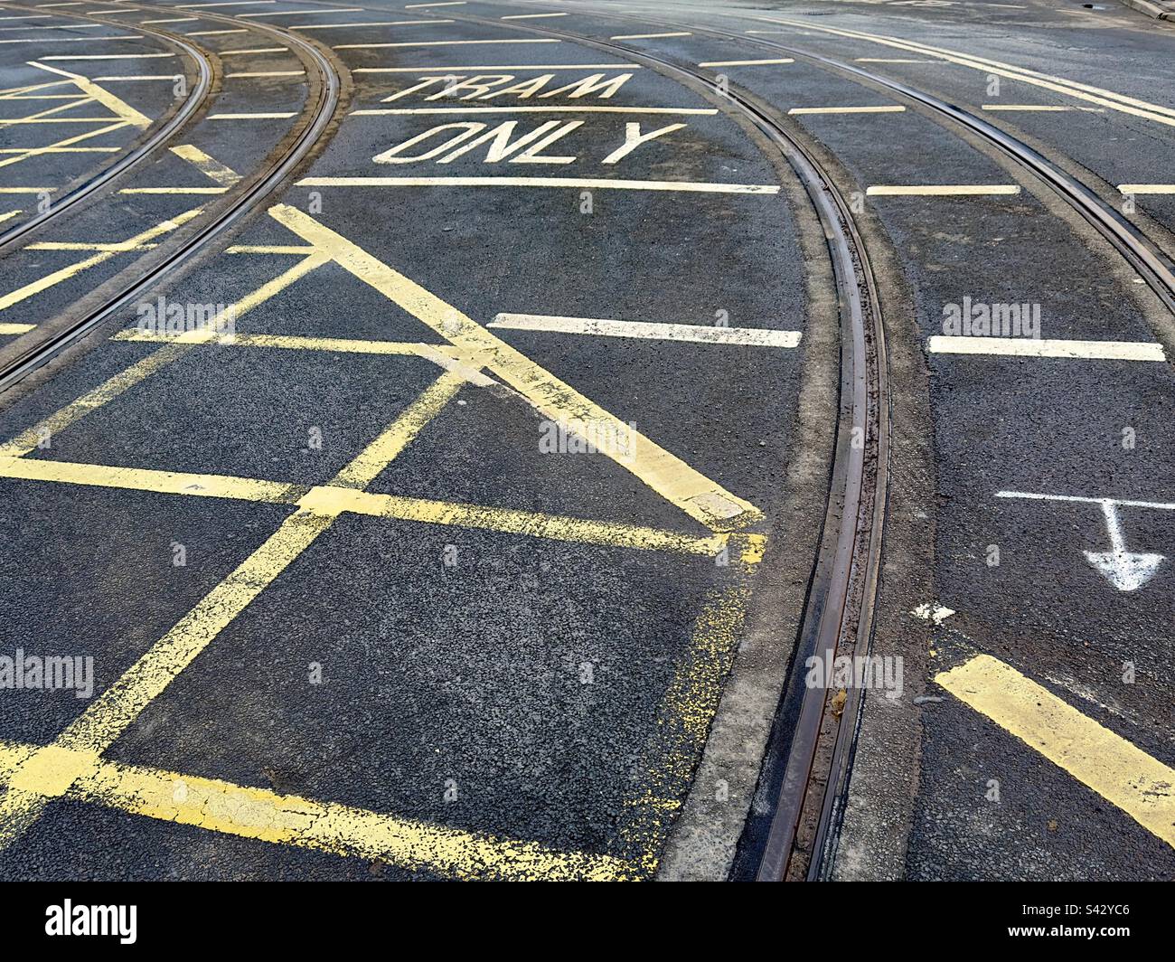 Public transport tram tracks in smartphone stock photos and images - Alamy