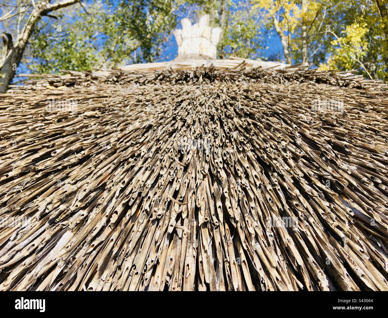 Thatched roof close-up Stock Photo - Alamy
