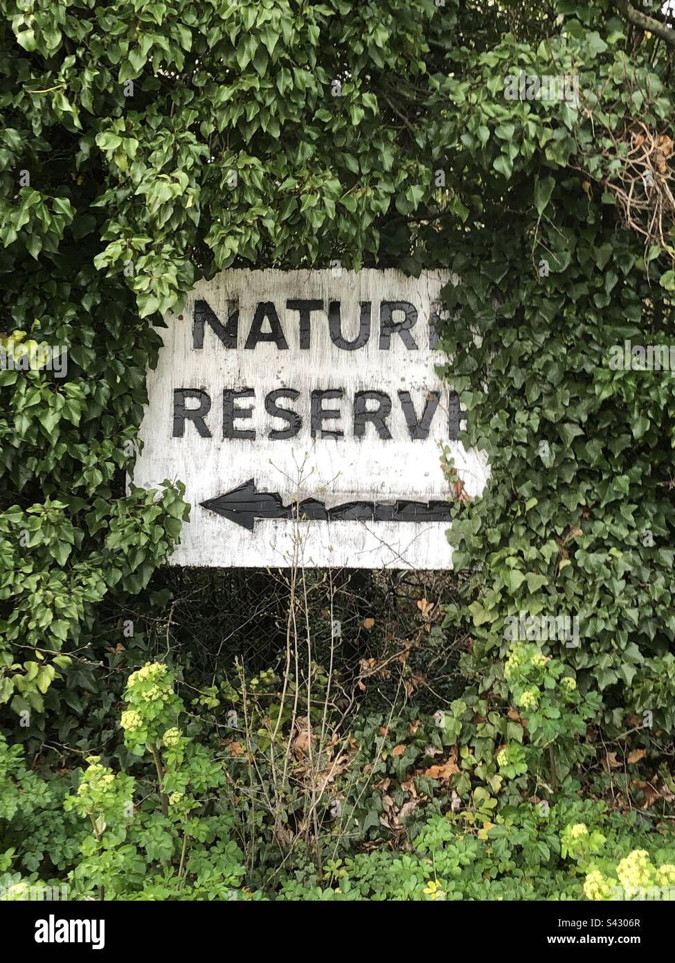 Overgrown sign hi-res stock photography and images - Alamy