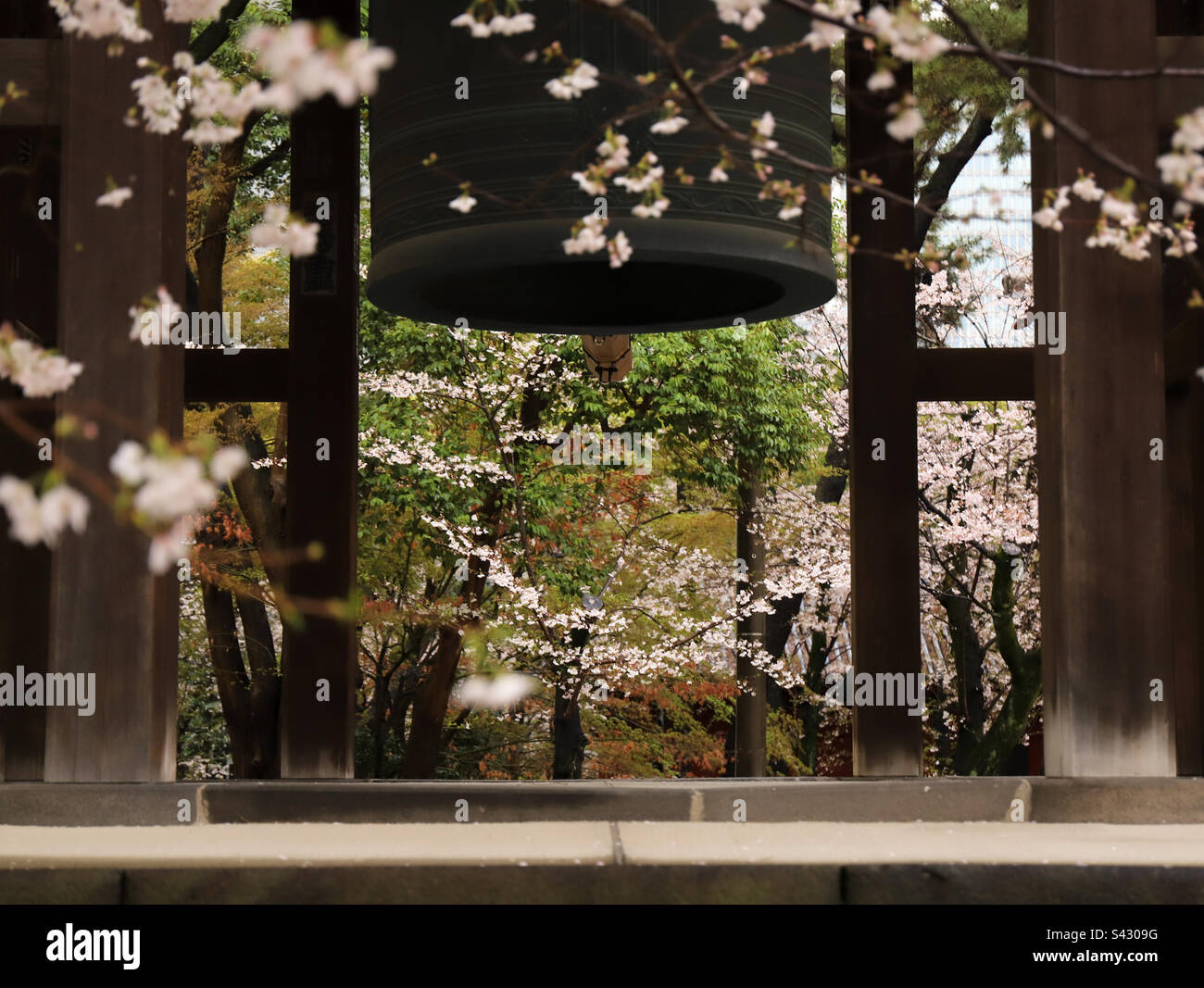 Zojoji temple in the temple hi-res stock photography and images - Alamy