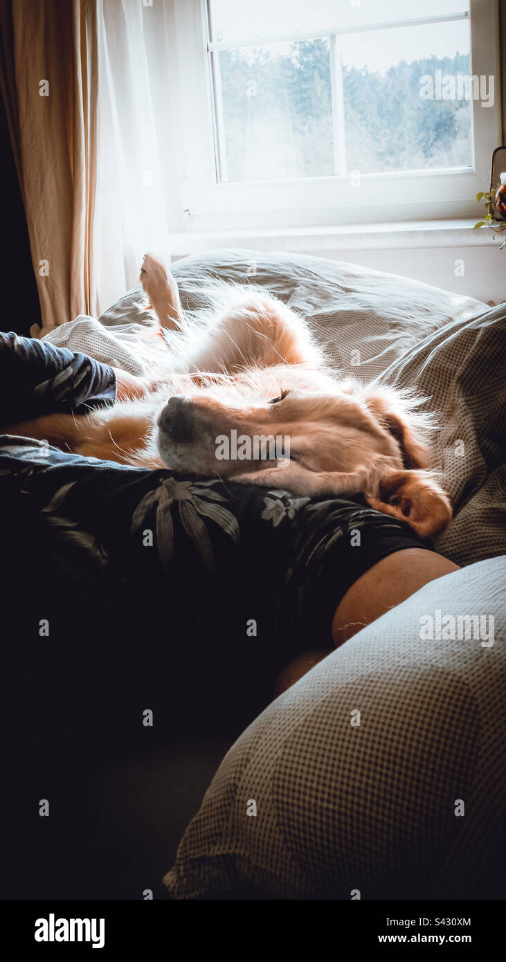 Cozy sleepy hi-res stock photography and images - Alamy