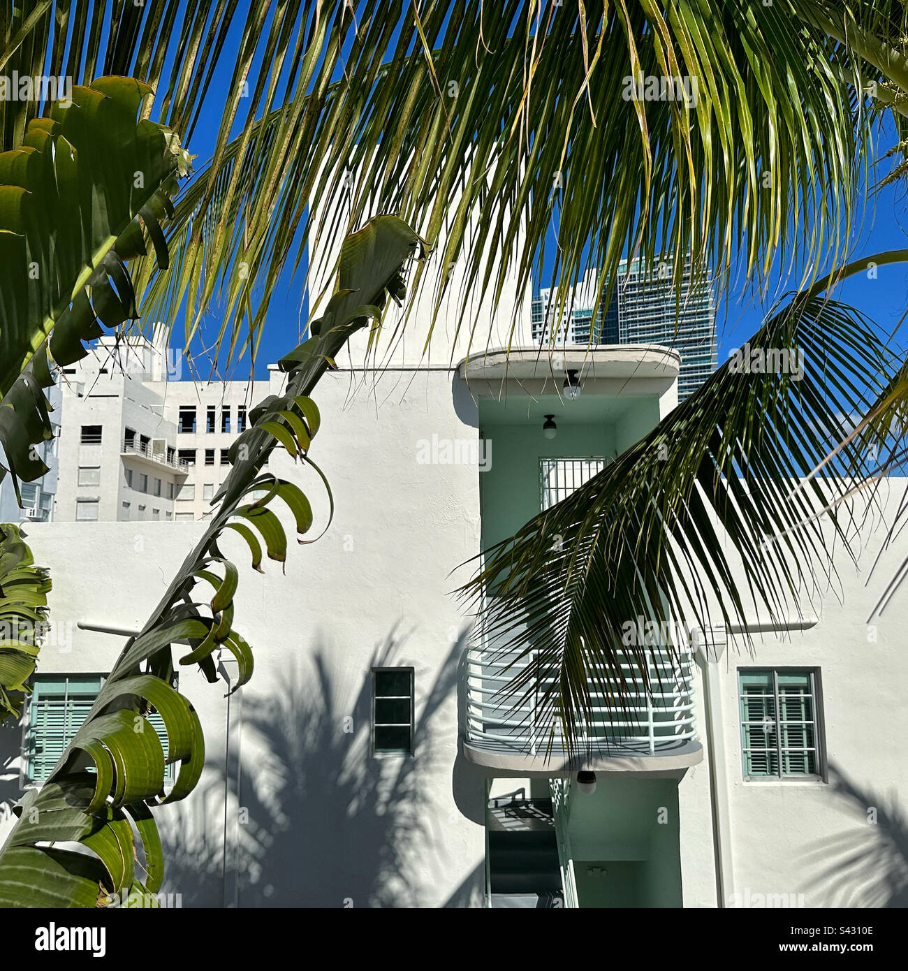Kimpton Surfcomber Hotel, South Beach, Miami Beach, Florida, United ...