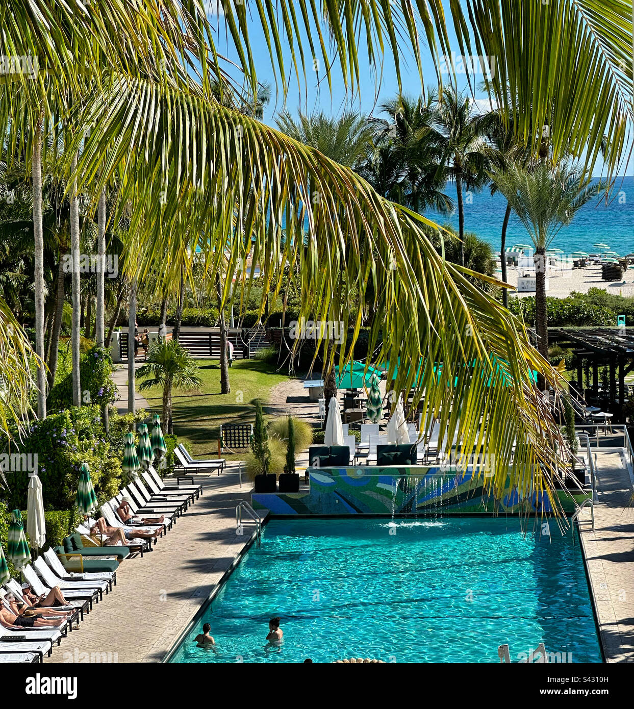 Swimming pool, Kimpton Surfcomber Hotel, South Beach, Miami Beach ...