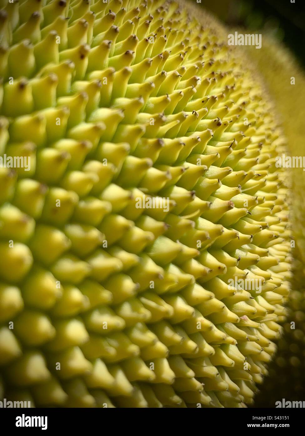 Yellow cone hi-res stock photography and images - Alamy