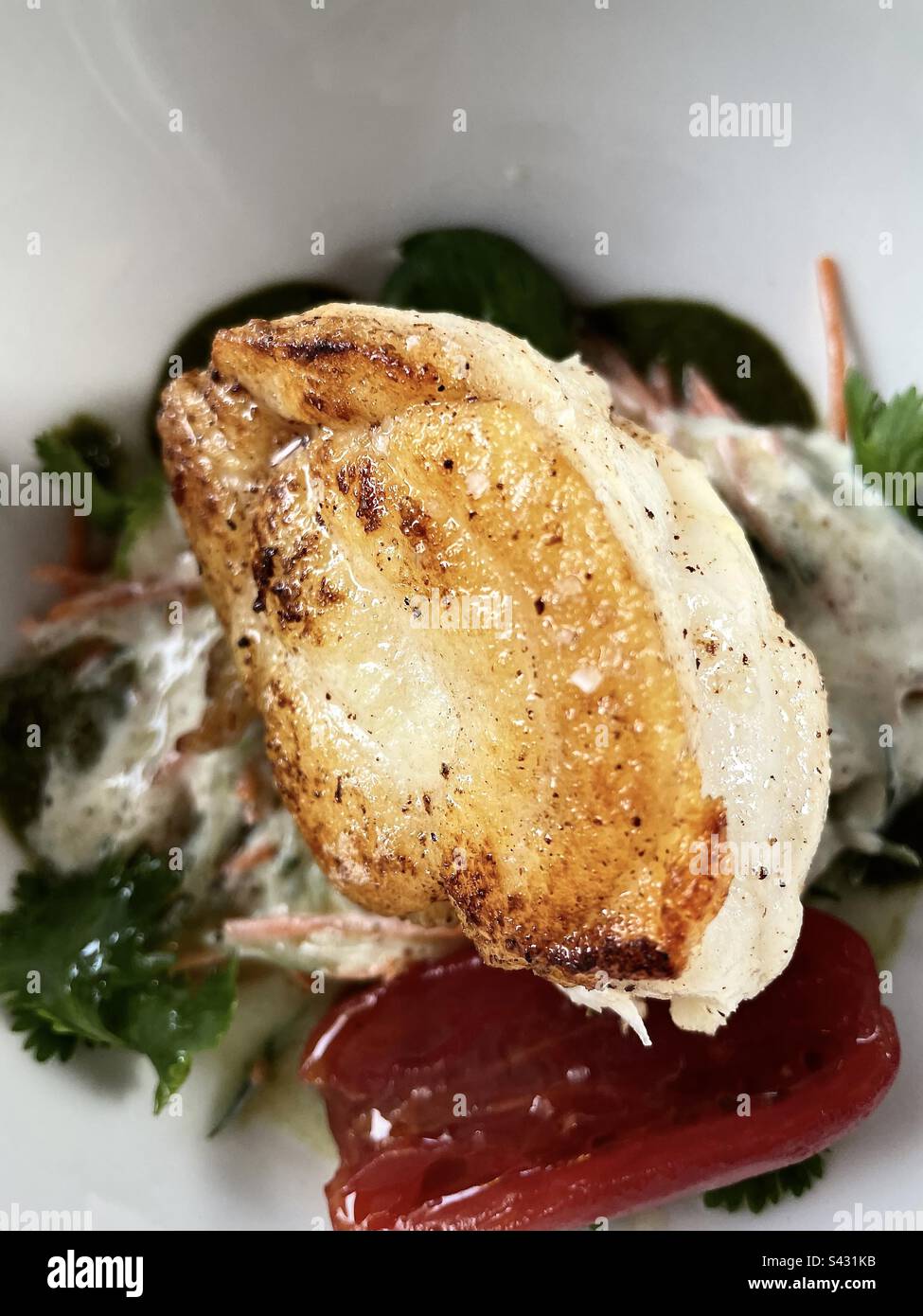 Scalop hi-res stock photography and images - Alamy