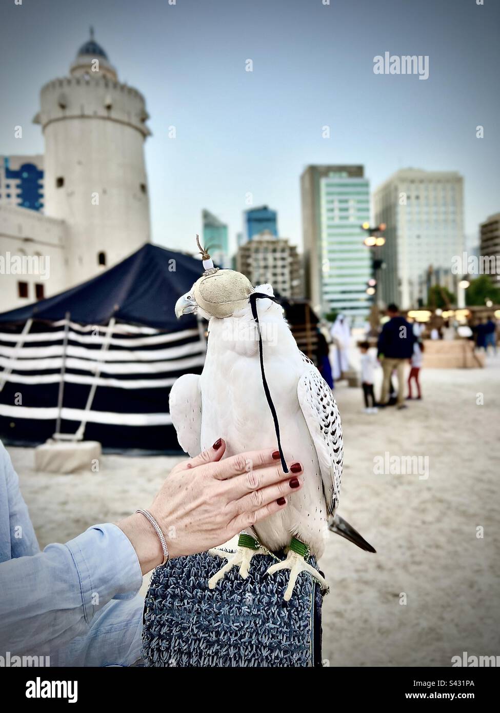 Woman holding falcon hi-res stock photography and images - Alamy