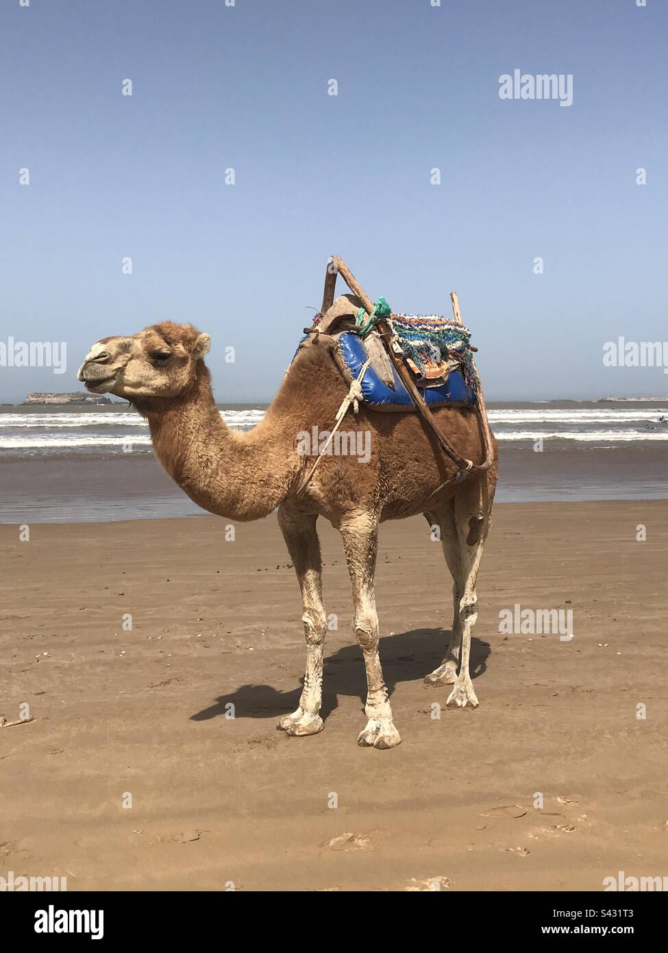 Marokko beach hi-res stock photography and images - Alamy