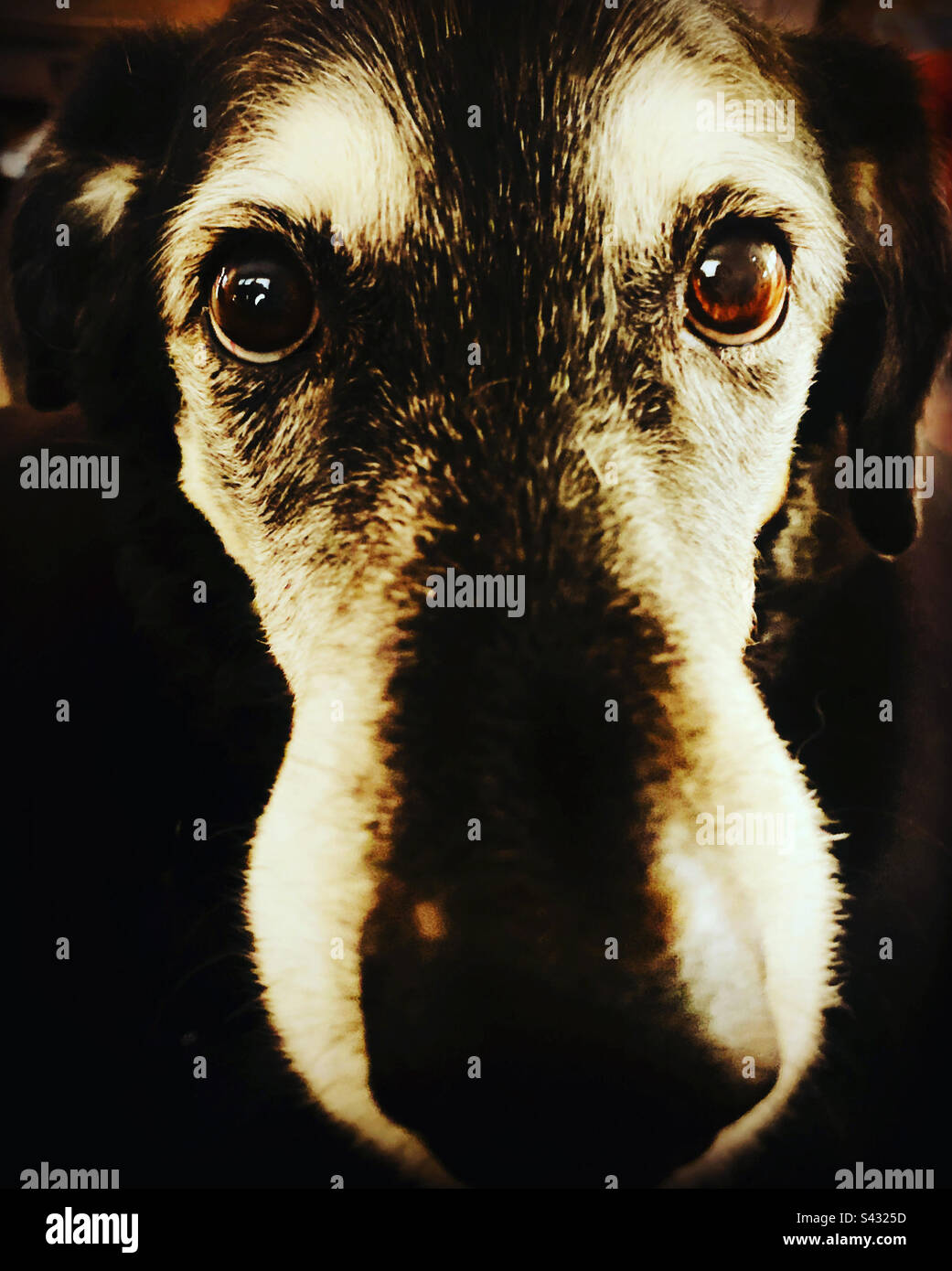 Alamy istock hi-res stock photography and images - Alamy