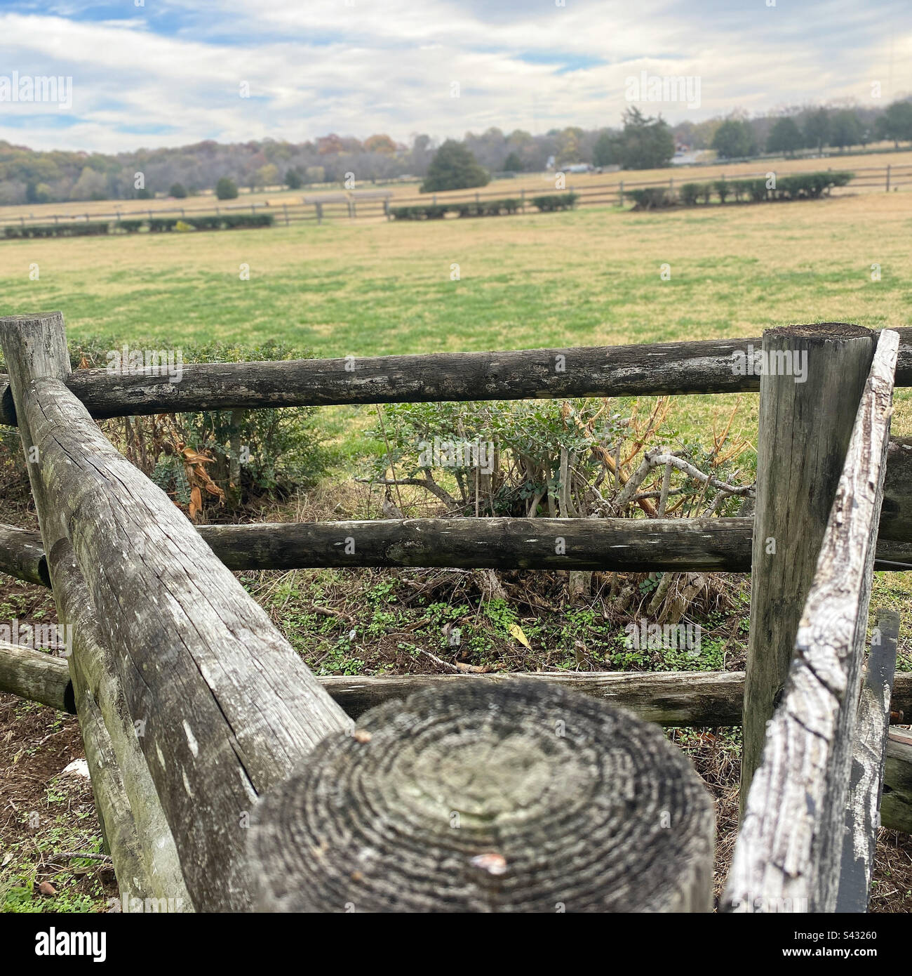 Images alamy horse hi-res stock photography and images - Alamy