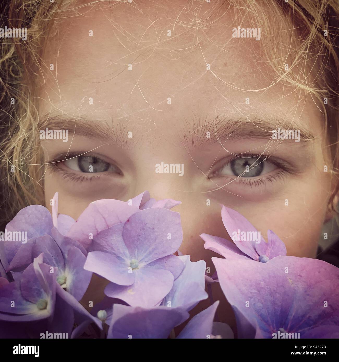 A cute young girl poses behind some lilac coloured summer flowers ...