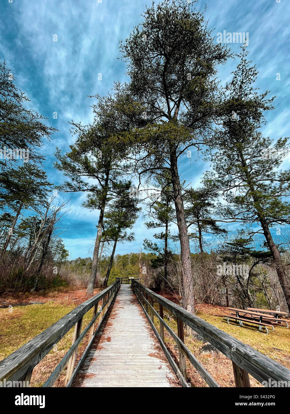 Boardwalk in the park hi-res stock photography and images - Alamy
