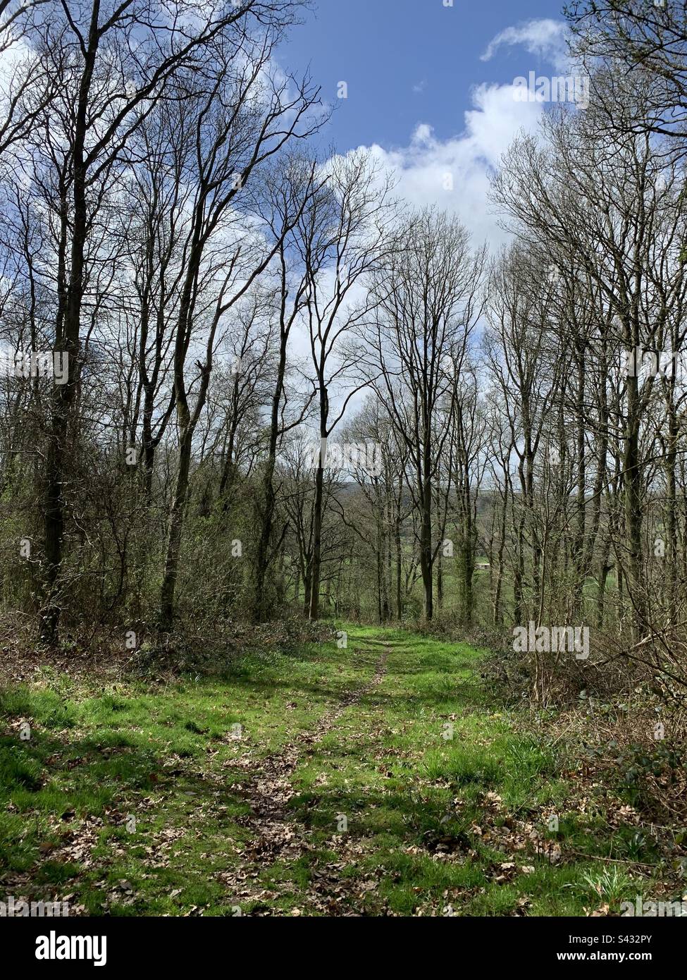 Tall standing hi-res stock photography and images - Alamy