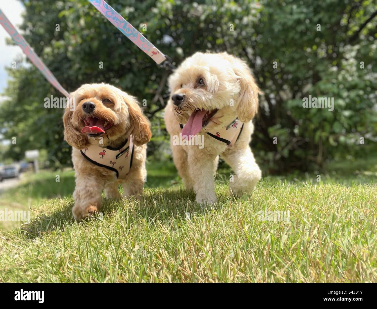 Alamy istock hi-res stock photography and images - Alamy