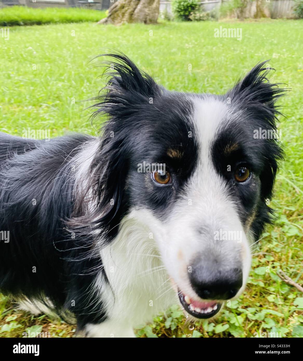 Shutterstock photos hi-res stock photography and images - Alamy